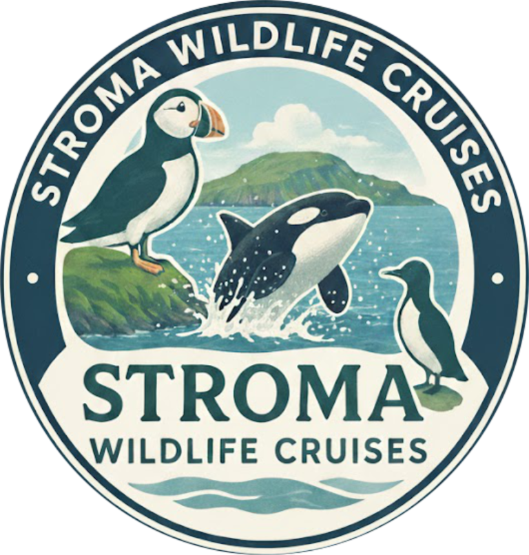 Stroma Wildlife Cruises - Stroma Wildlife Cruises